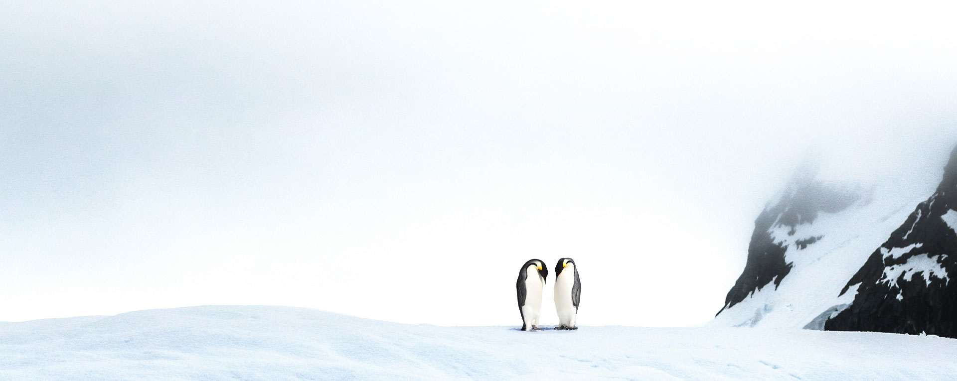 The Bare Truth - Independent Securities